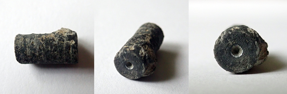 lilijice - blíže neidentifikované kolumnálie - výška plurikolumnálie na ...